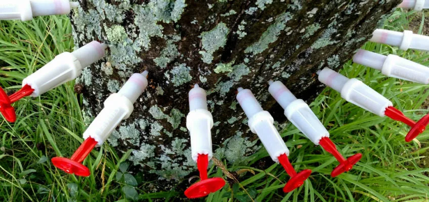 How Chemjet Works - Chemjet Tree Injector