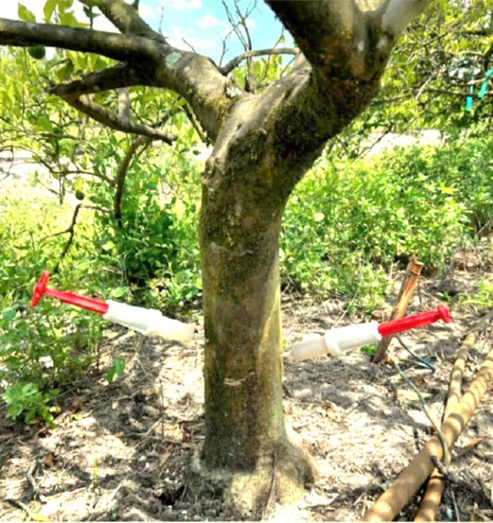 Tree Injection to protect grove and orchard trees using Chemjet